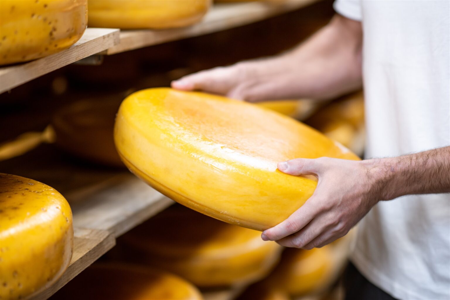 Multi Award Winning Cheese Producer & Modern Regional Cafe - Business ...